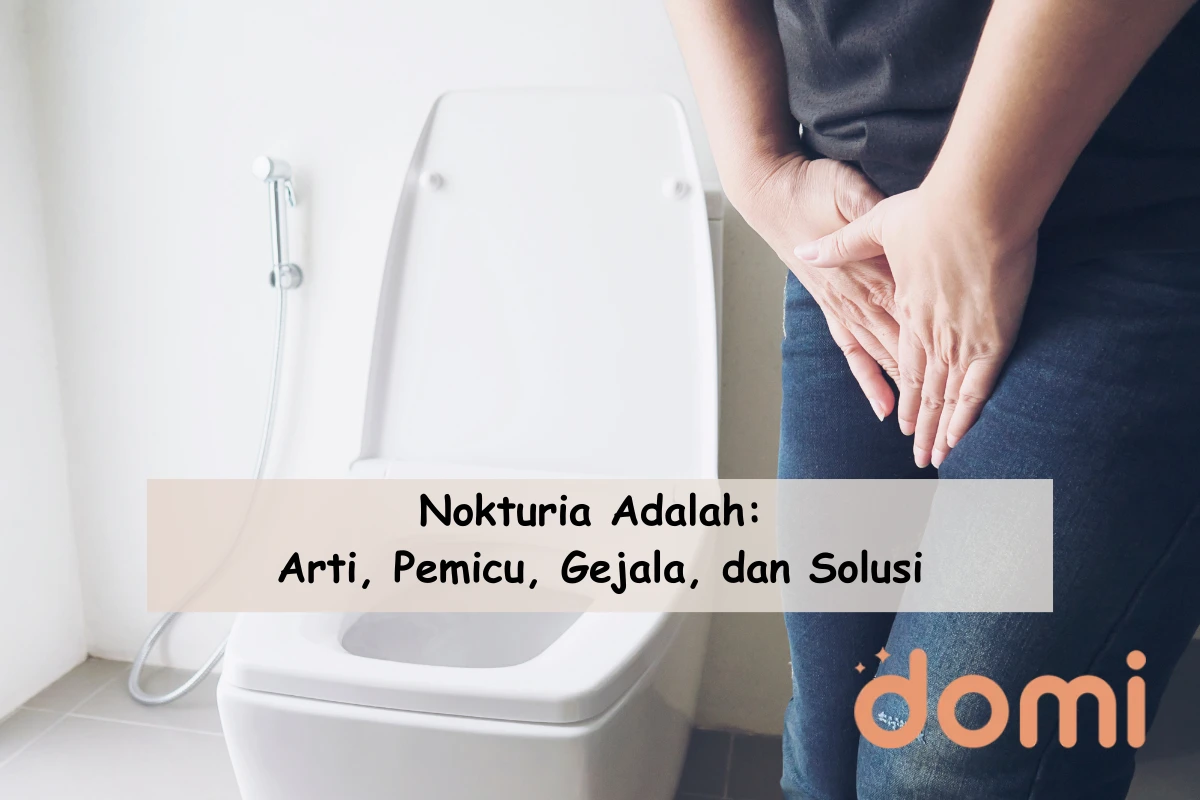 Nokturia Adalah: Arti, Pemicu, Gejala, dan Solusi - Domi